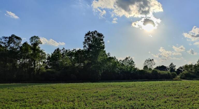 Locke Township